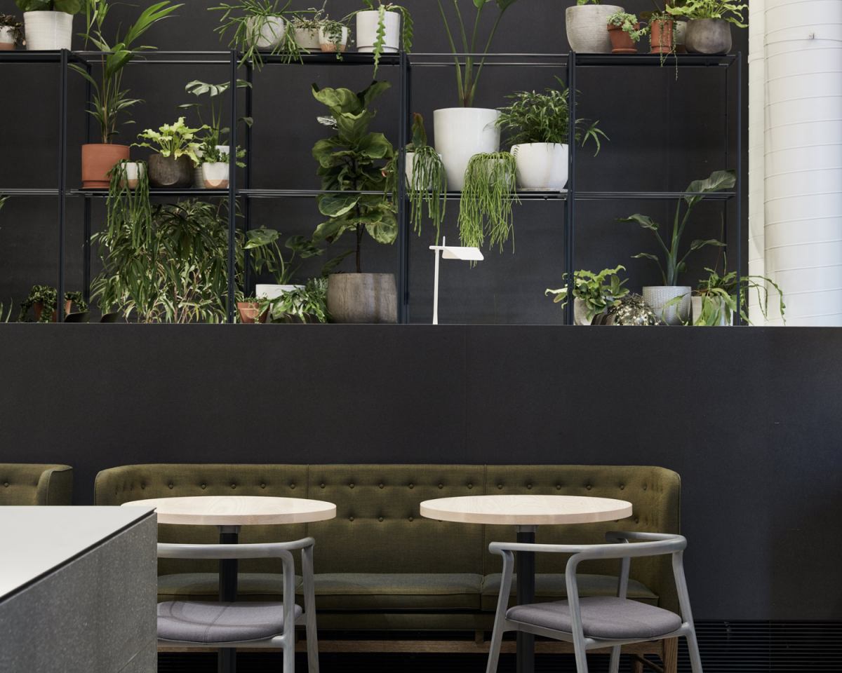 Higher Ground - Projects - polytec